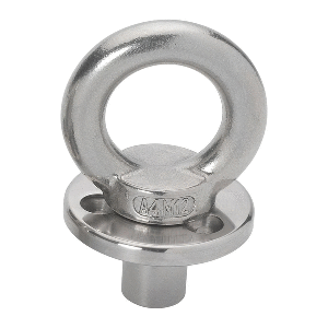 Barton Deck Plate w/Fixing & Eye w/Blanking Plug - M12 Eye - $146.39 ...